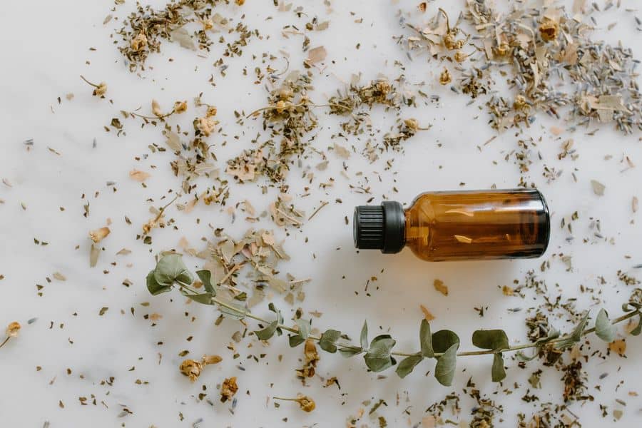 Homeopatska zdravila in svetovanje farmacevta pri samozdravljenju ...